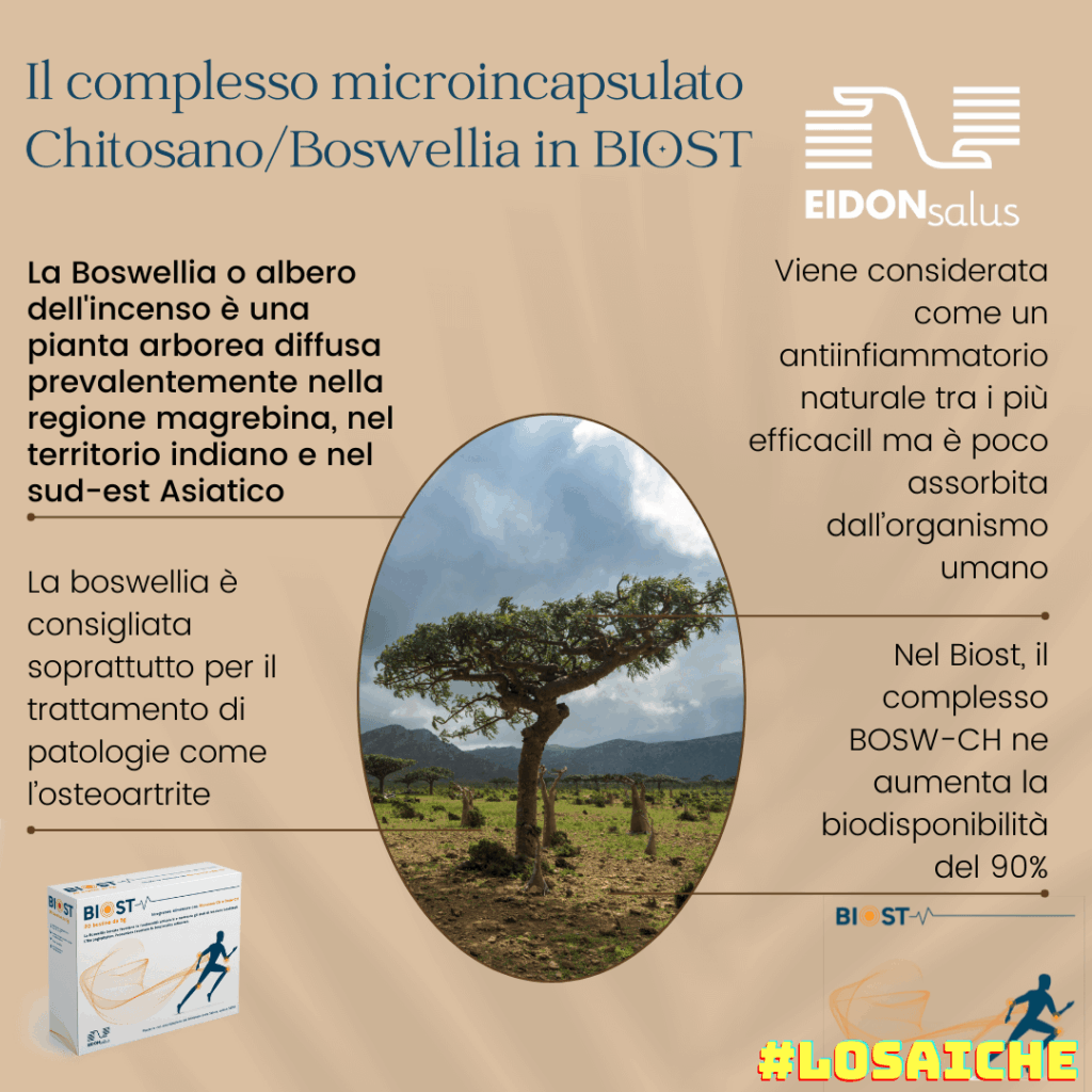 Il complesso microincapsulato chitosano/boswellia in BIOST - EIDON salus