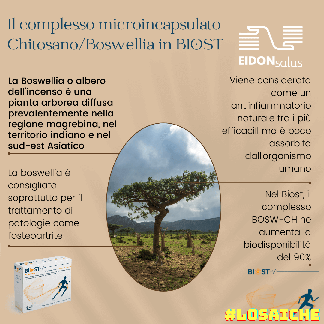 Il complesso microincapsulato chitosano/boswellia in BIOST - EIDON salus